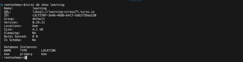 Turso Database with Drizzle ORM in Next.JS Application | Reetesh Kumar